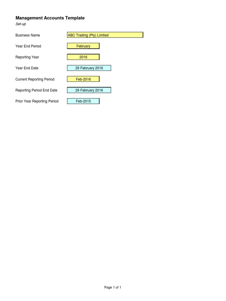 Management Accounts Template Overview | PDF