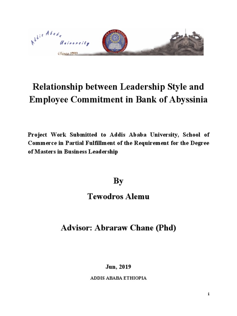 Tewodros Alemu | PDF | Leadership | Transformational Leadership
