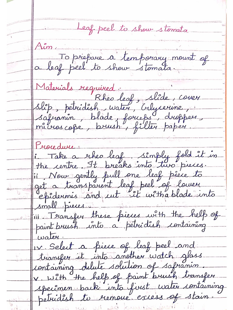 Grade 10 Bio Practical | PDF