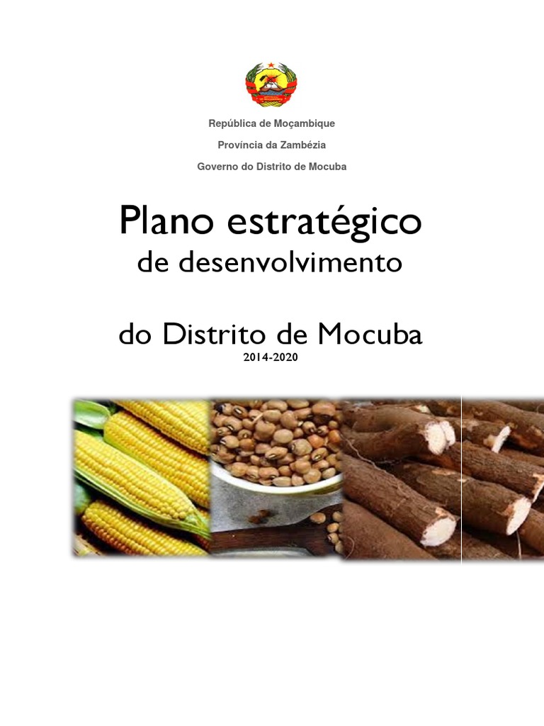 PEDD Do Distrito de Mocuba Versão Final 2013 - 2020 | PDF | Ferimento ...