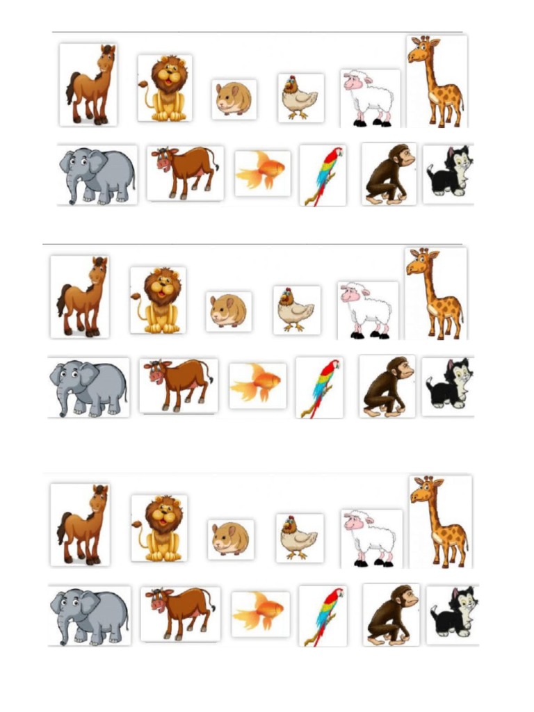 Zoo Pet Farm Animal 1 | PDF