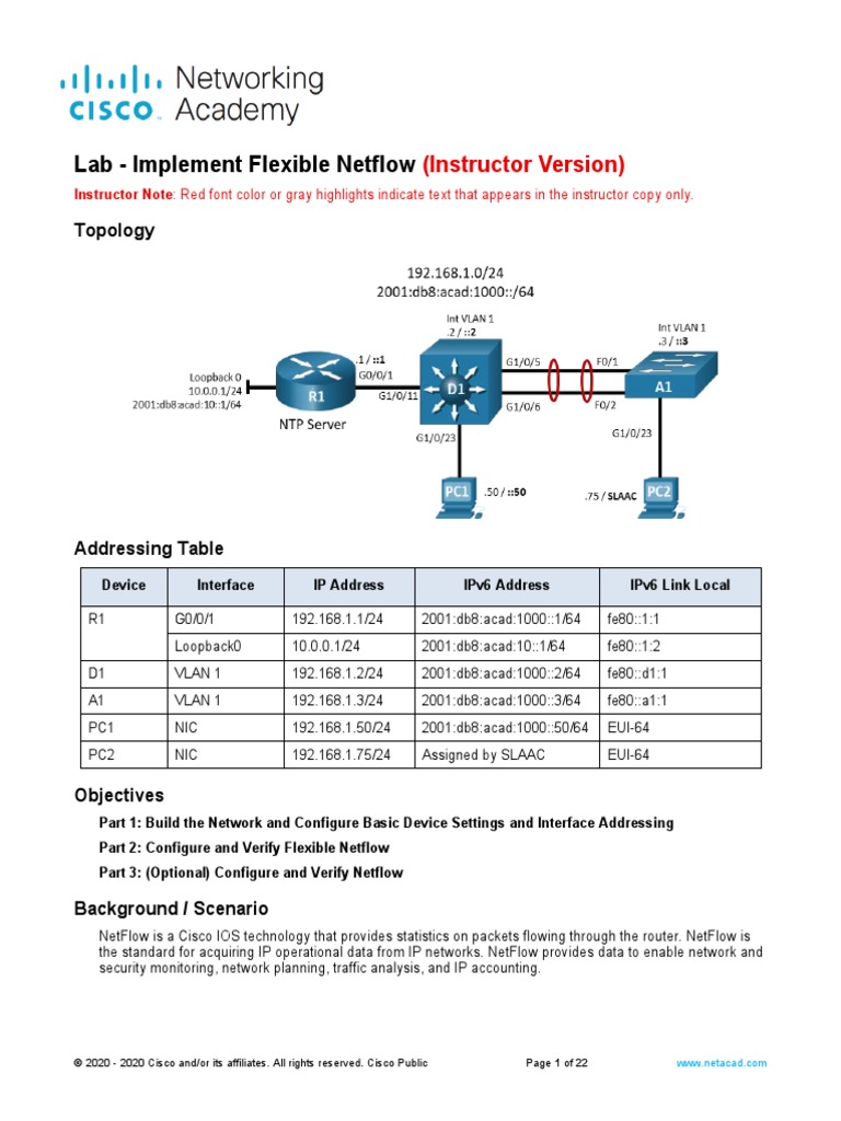 24.1.4 Lab - Implement Flexible Netflow - ILM | PDF | Internet Protocols | I Pv6