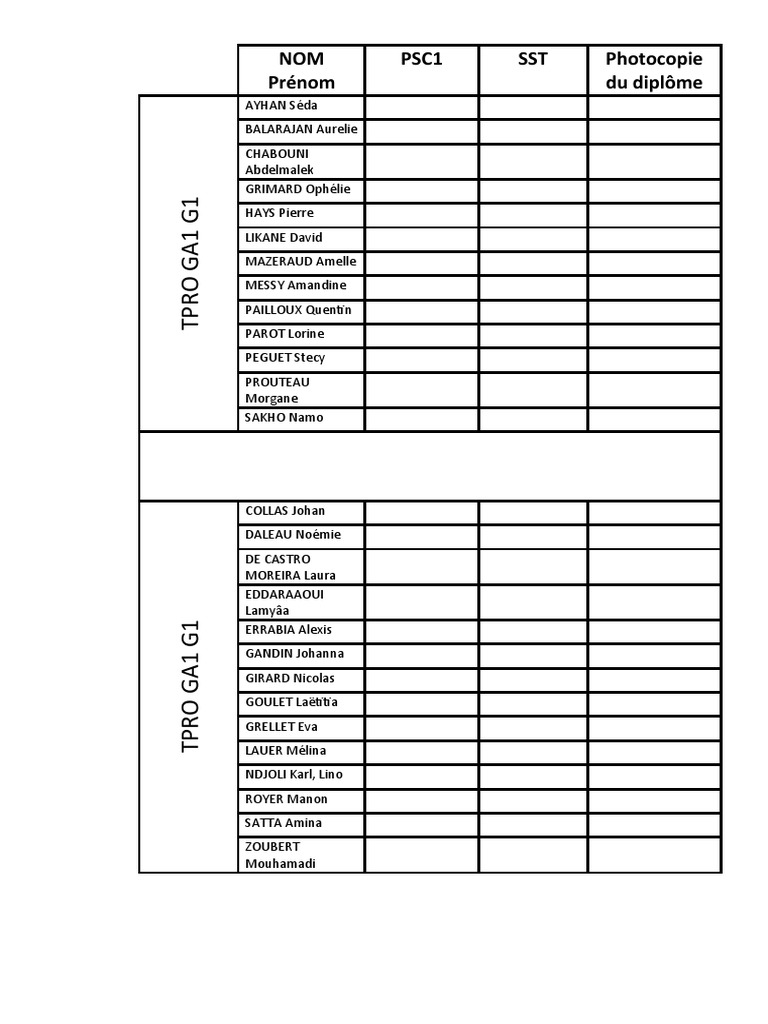 Tableau Pour Recensement SST | PDF