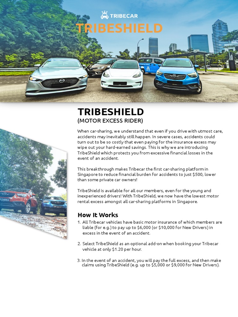 TribeShield Leaflet | PDF | Business | Finance & Money Management