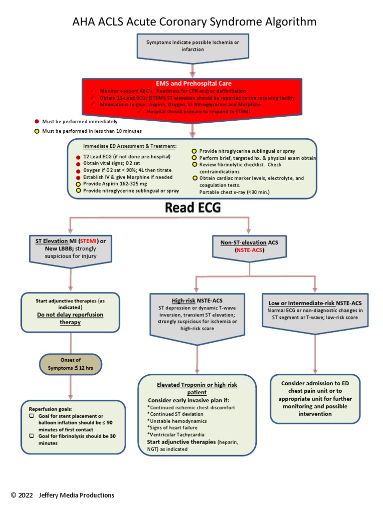 Website ACS Algorithm Diagram | PDF