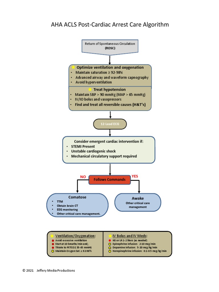 Website Post Cardiac Arrest Algorithm Diagram | PDF