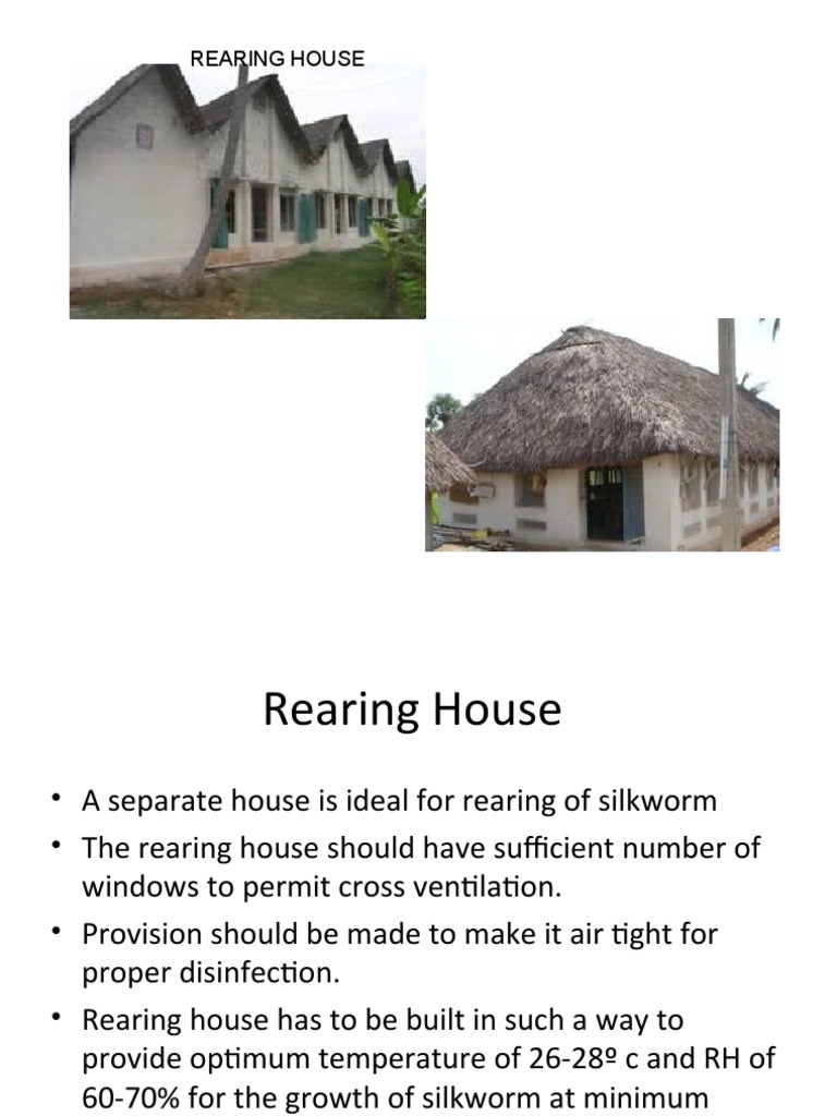 Silkworm Rearing House
