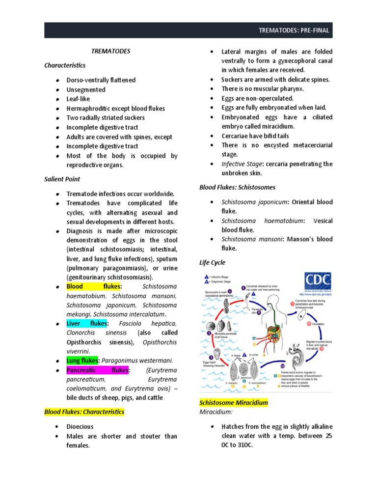 Trematodes - PreFinal | Download Free PDF | Clinical Medicine | Microbiology