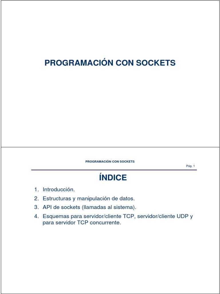 Intro Sockets Pdf Zócalo De Red Puntero Programación De Computadora