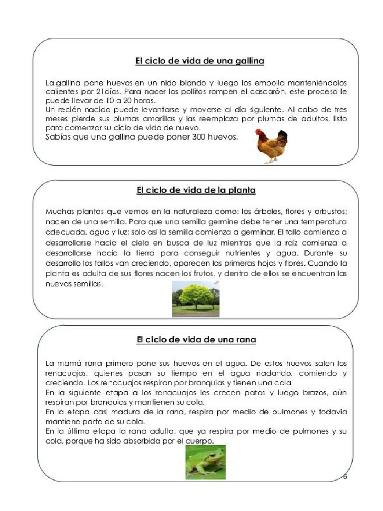 Cuadernillo de lectura Spanish Workbook U3 Ciclo de vida Print Go ...