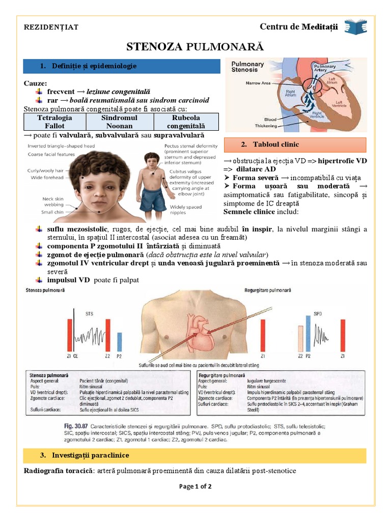 Valva Pulmonara | PDF