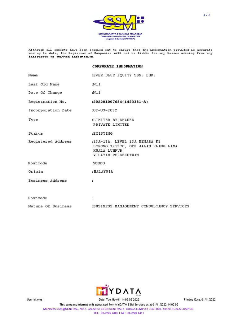 Ever Blue Equity SDN BHD (202201007684) | PDF | Balance Sheet | Taxes