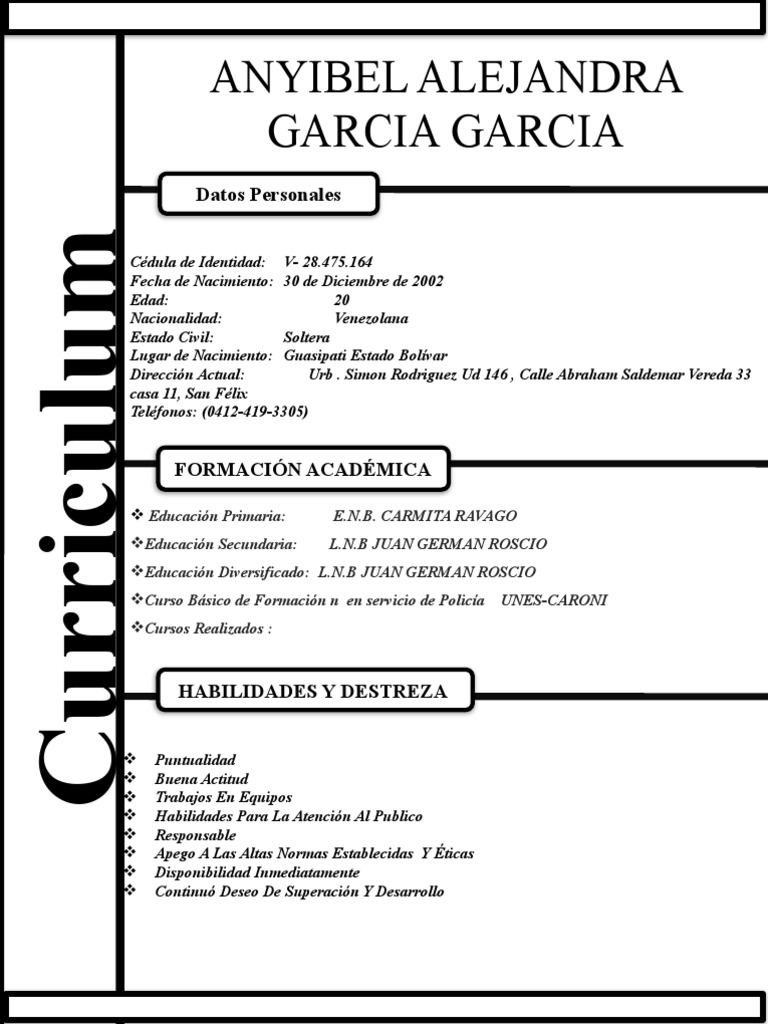 Curriculo LUIS | PDF