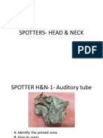 Lower Limb Anatomy Spotters Guide | PDF | Human Leg | Foot