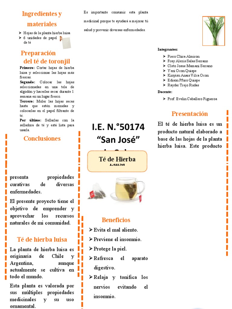 Triptico Hierba Luisa | PDF