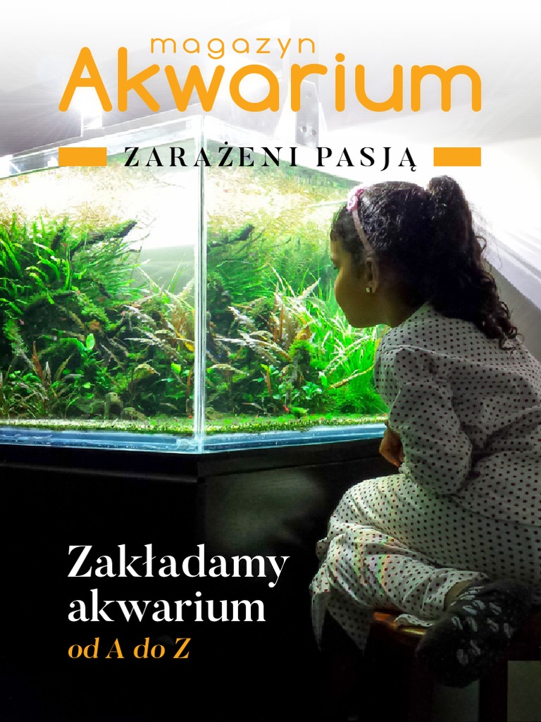 Zakladamy Akwarium | PDF