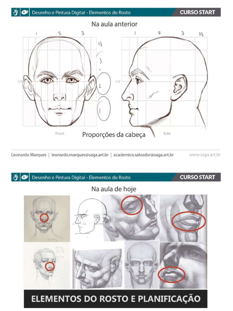 Aula - Elementos Do Rosto | PDF