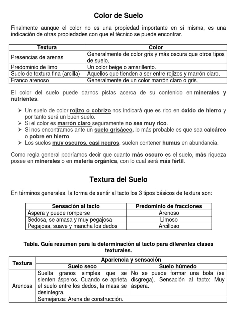 Color y Textura Del Suelo | PDF | Suelo | Color