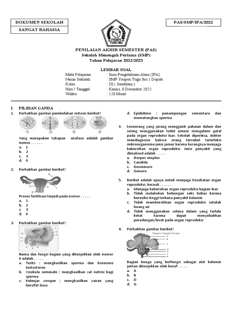 Pas Ipa Kelas Ix | PDF