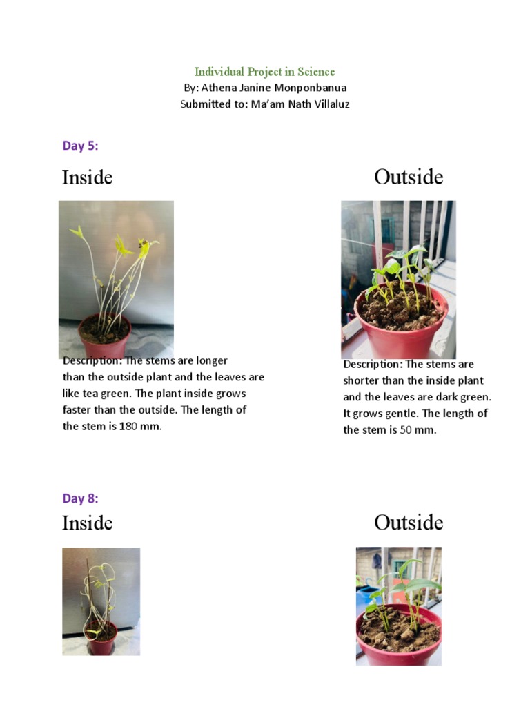 Individual Project | PDF