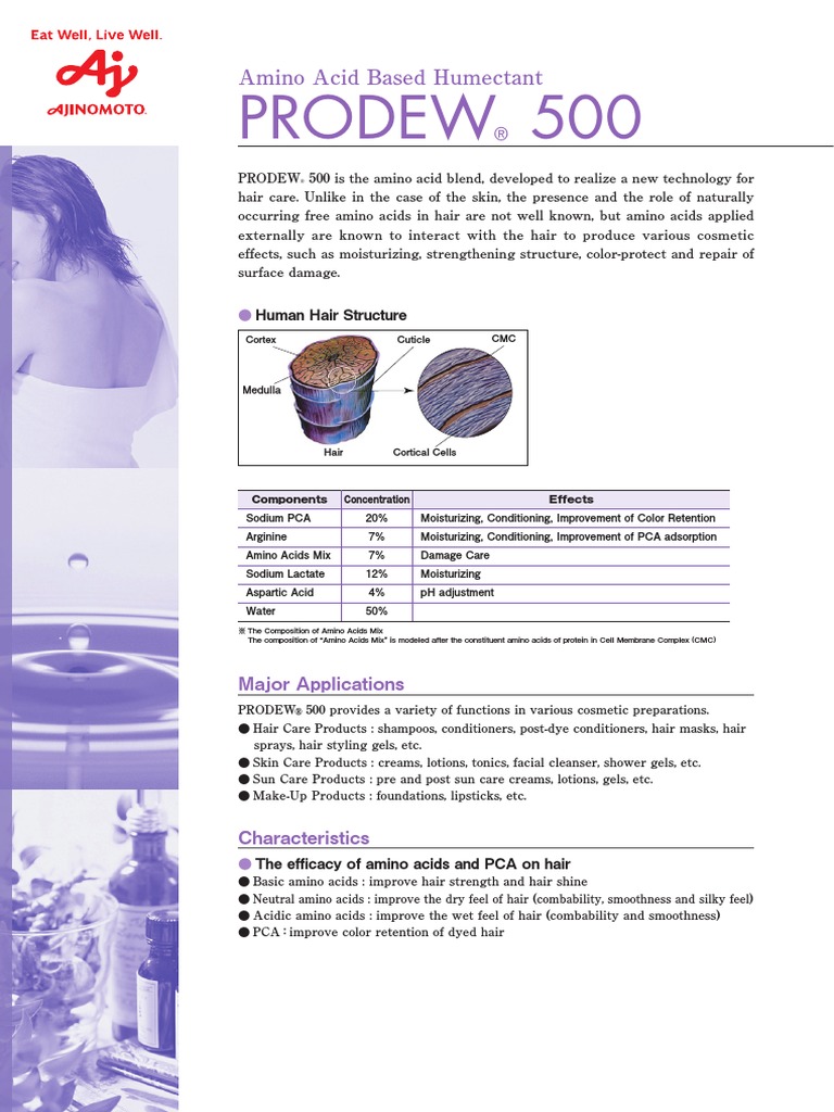 Ajinomoto - Brochure PRODEW 500 (E) 180313 | PDF