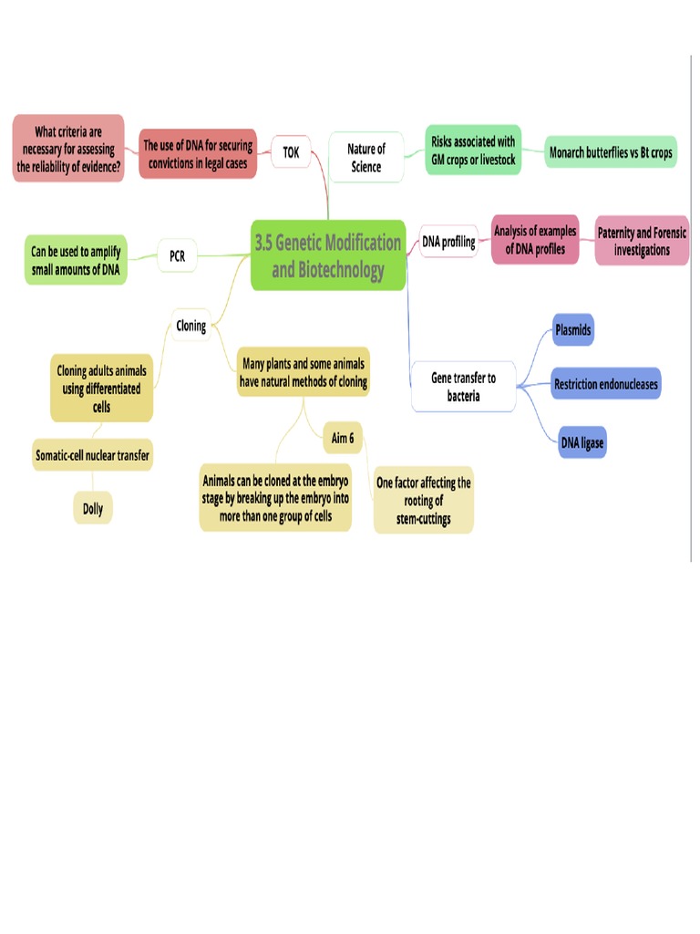 3.5 Mind Map | PDF