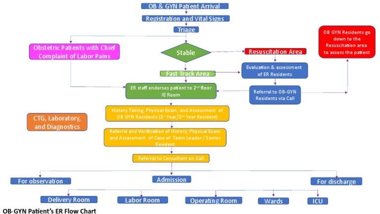 OB-GYN Patient ER Flow Chart | PDF