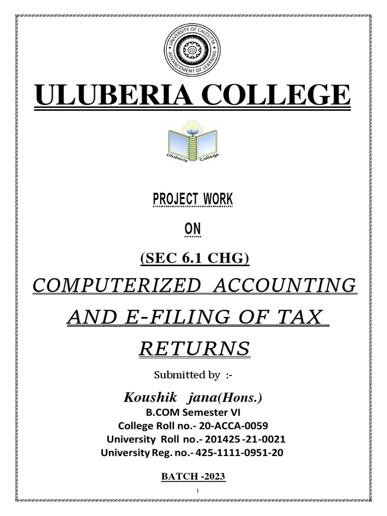 Computerized Accounting Project | PDF
