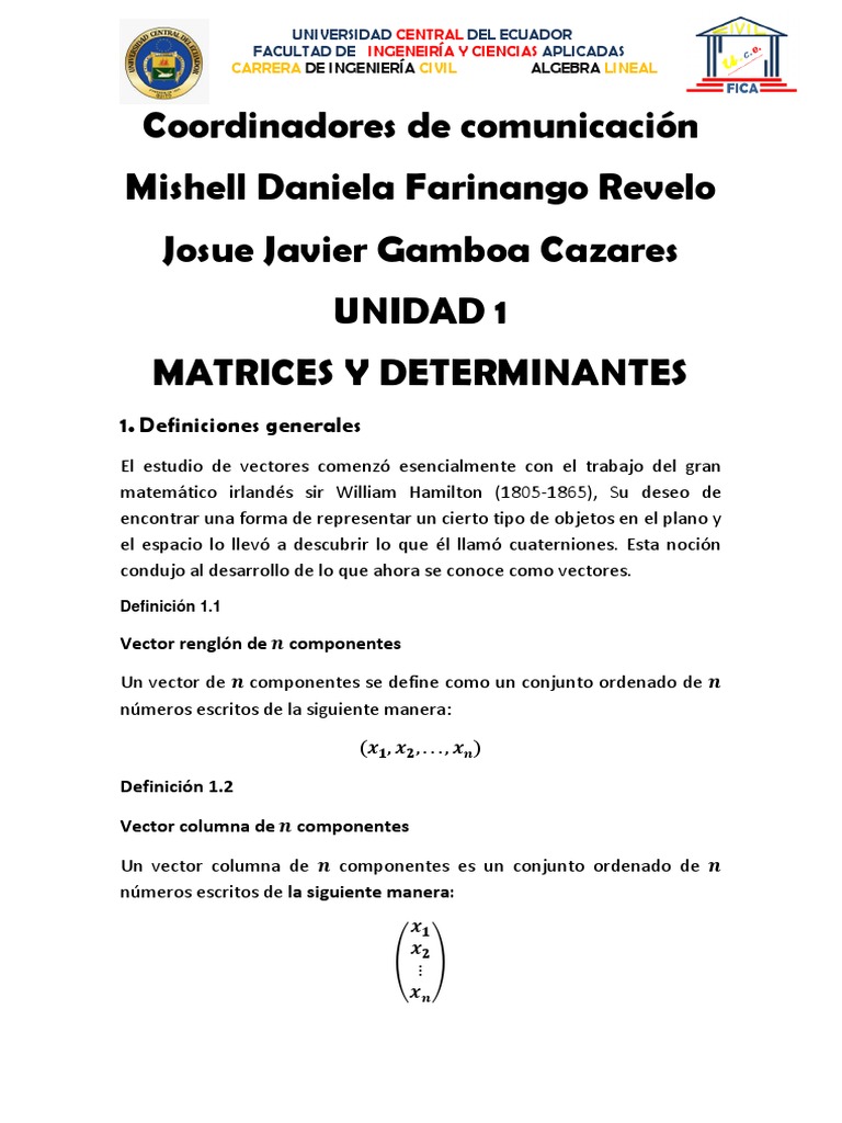 Vectores y Matrices en Álgebra Lineal | PDF | Matriz (Matemáticas ...