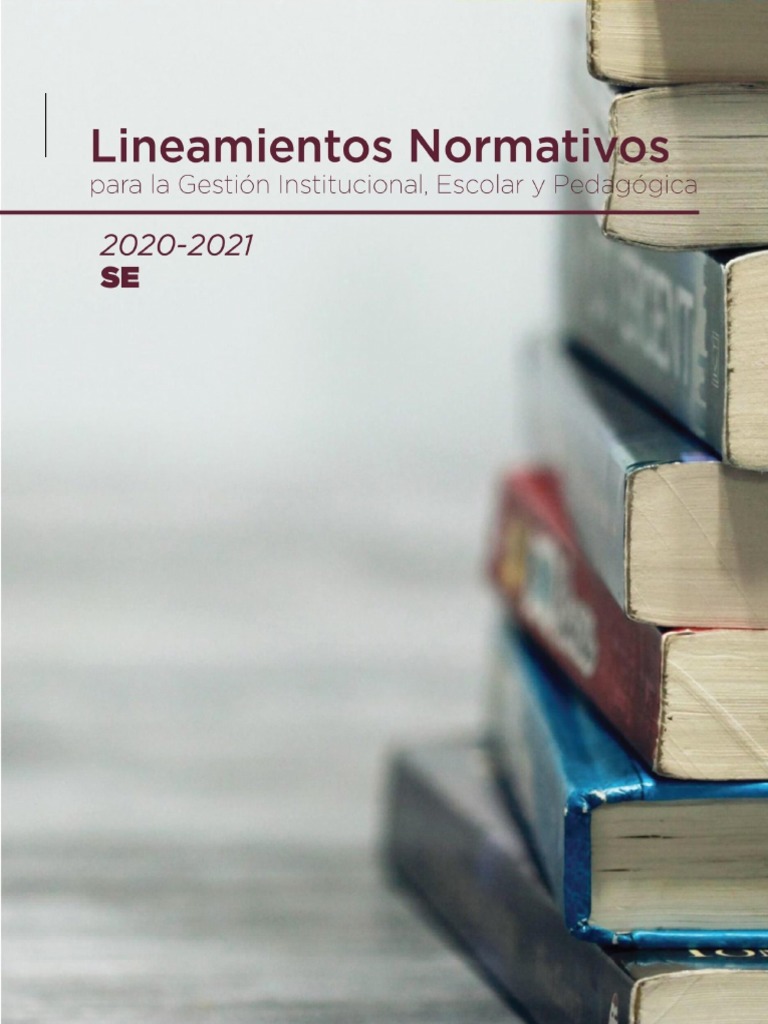 Lineamiento Se 2020-2021 | PDF