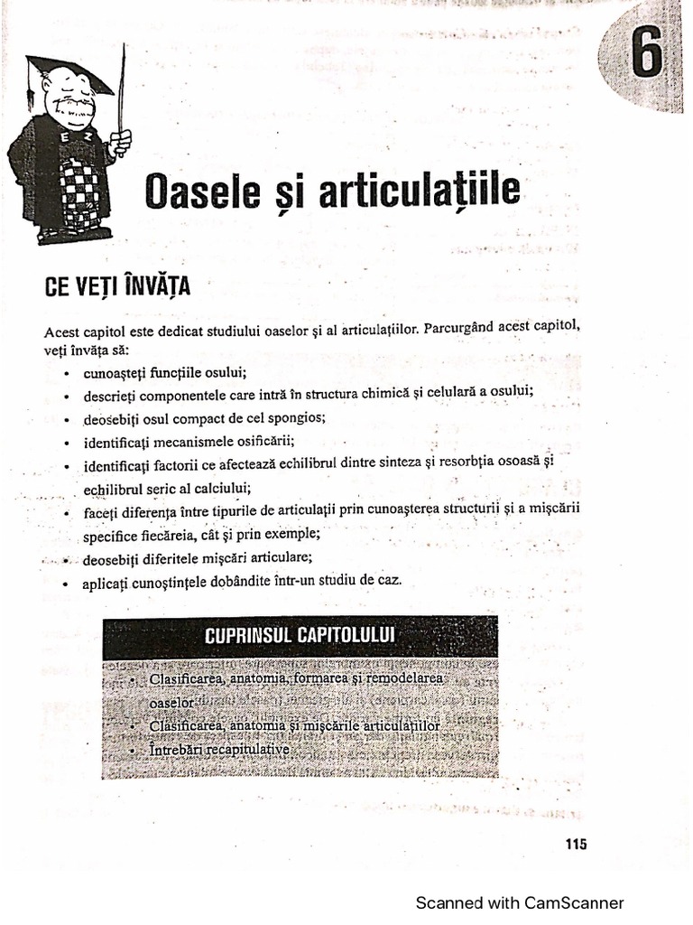 Barrons Cap 3+grile | PDF