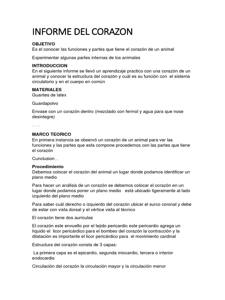 Informe Del Corazon 02 | PDF | Corazón | Sistema circulatorio