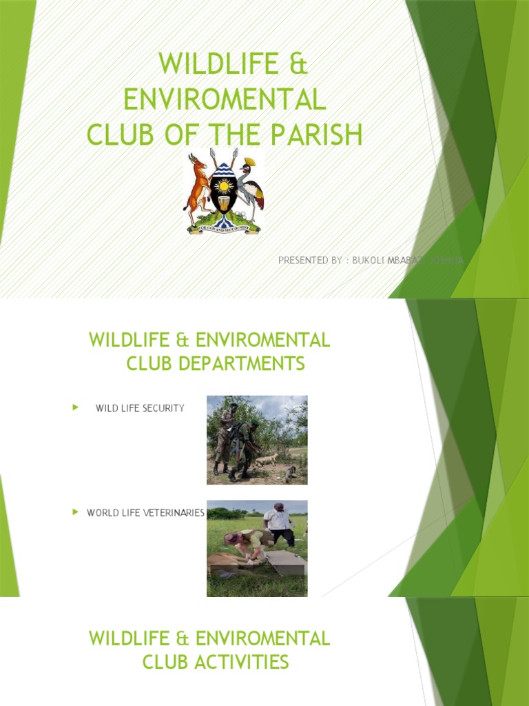 Wildlife Club Activities Overview | PDF