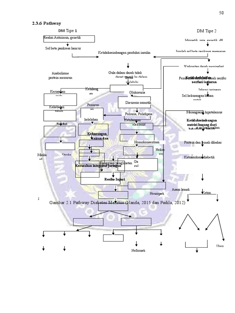 Pathway Diabetes Mellitus Tipe 1 dan 2 | PDF