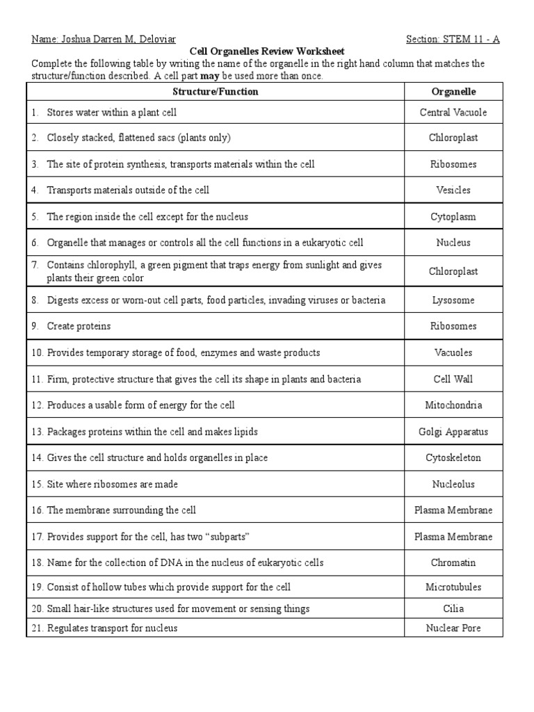 Cell Organelles Review Worksheet | PDF | Cell (Biology) | Endoplasmic ...