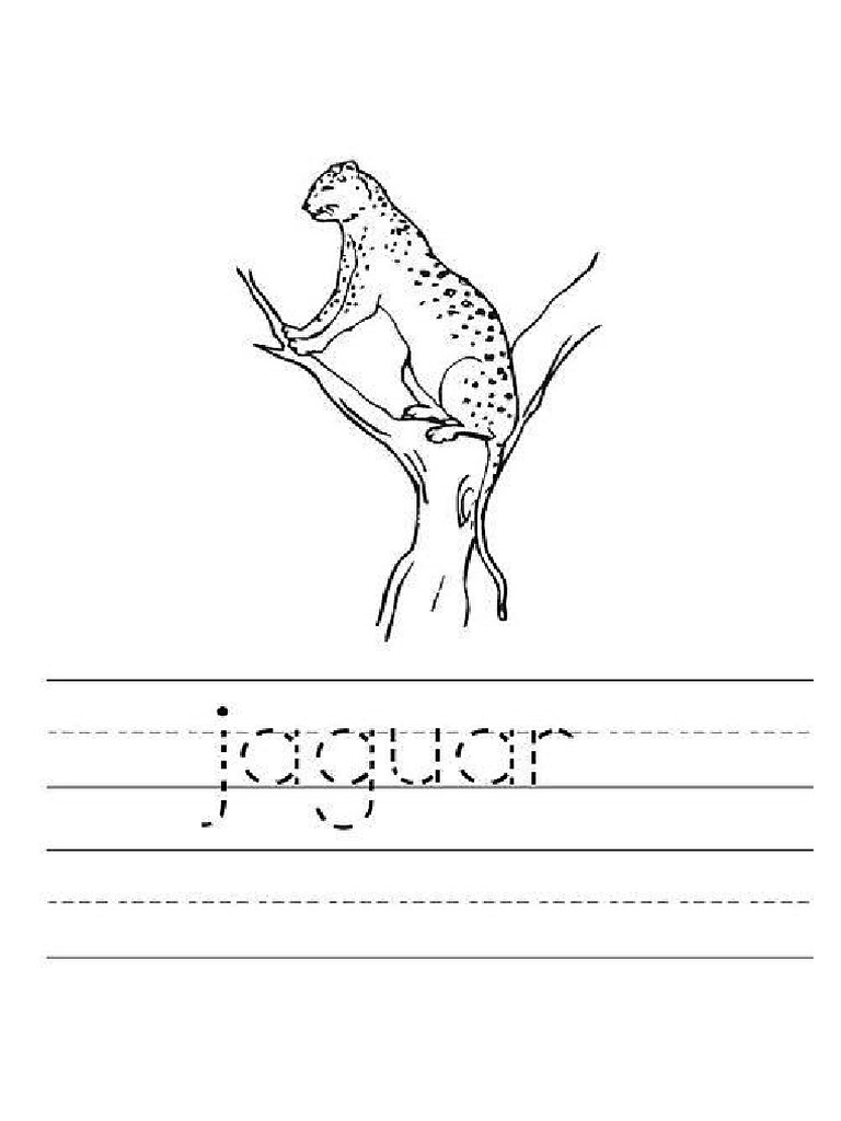 Jaguar Preescolar | PDF