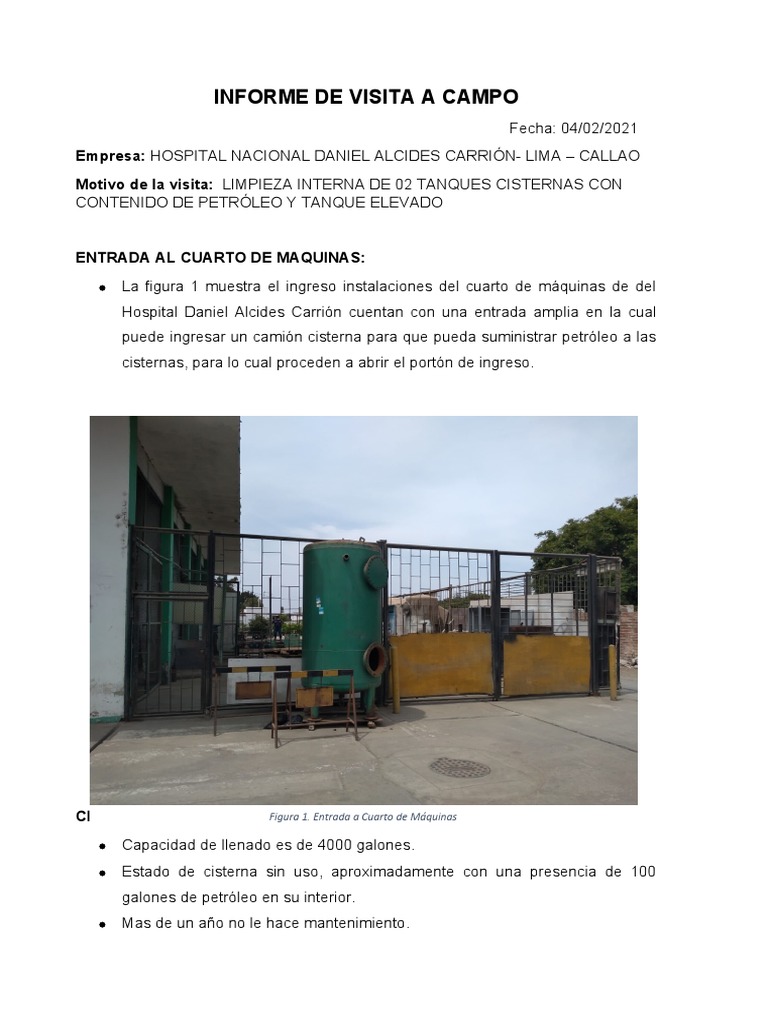 Informe Visita | PDF