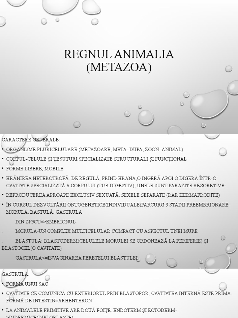 Proiect Biologie - Regnul Animalia | PDF