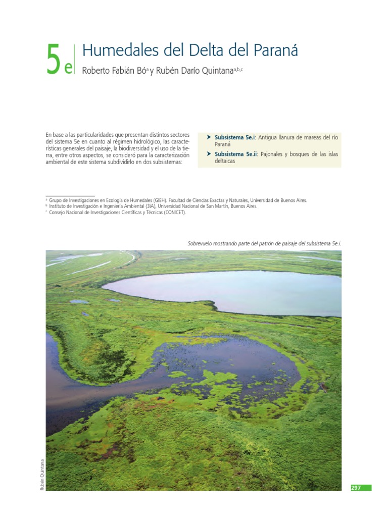 Humedales_Delta_del_Parana | PDF | Río | Humedal