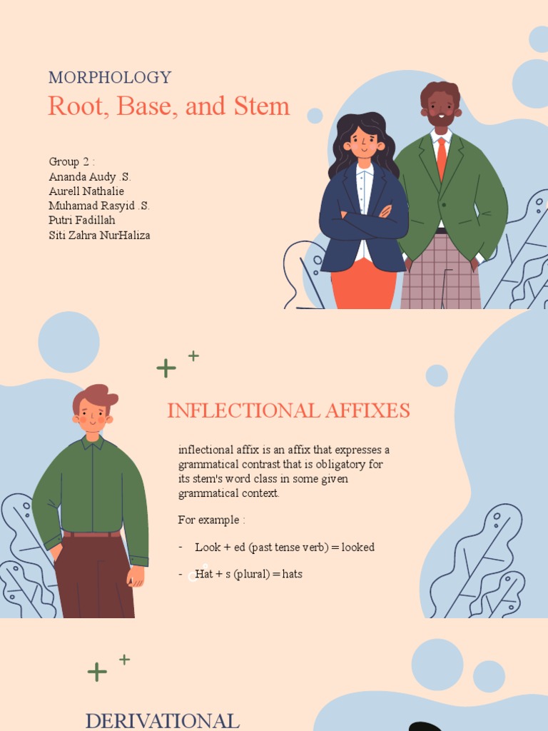 Root, Base and Stem | PDF