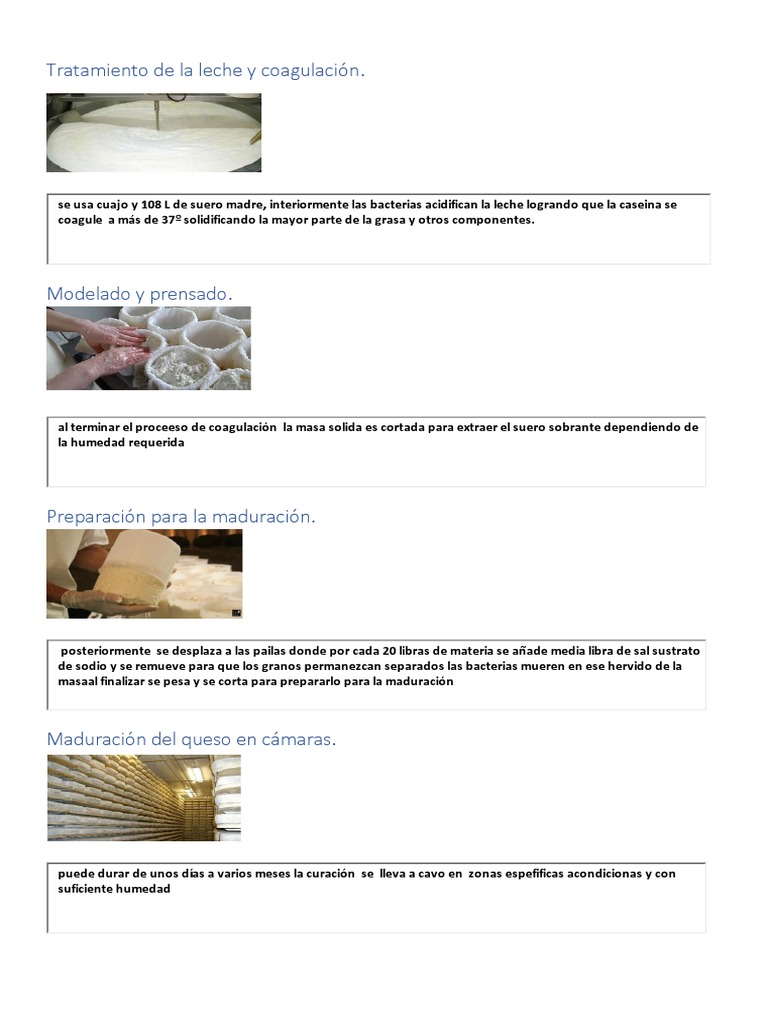 Ficha Elaboracion Del Queso | PDF