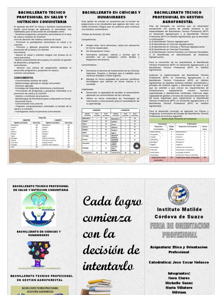Trifolio | PDF | Educación más alta