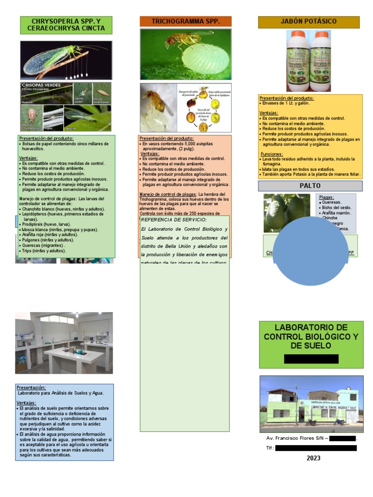 Triptico para Feria de Control Biologico | PDF | Control biológico de plagas | Insectos