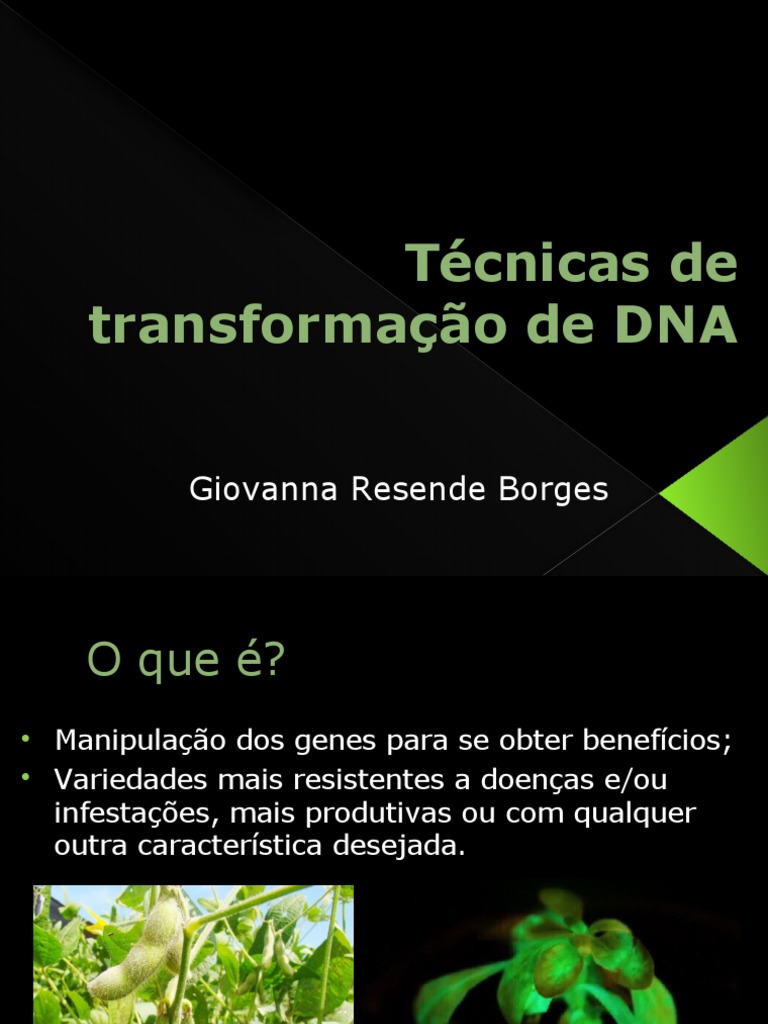 Como é a Transgenia | PDF | Gene | Plasmídeo