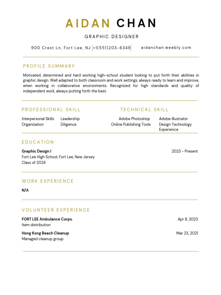 White Gold Elegant Minimalist Data Analyst Resume CV A4 Printable | PDF