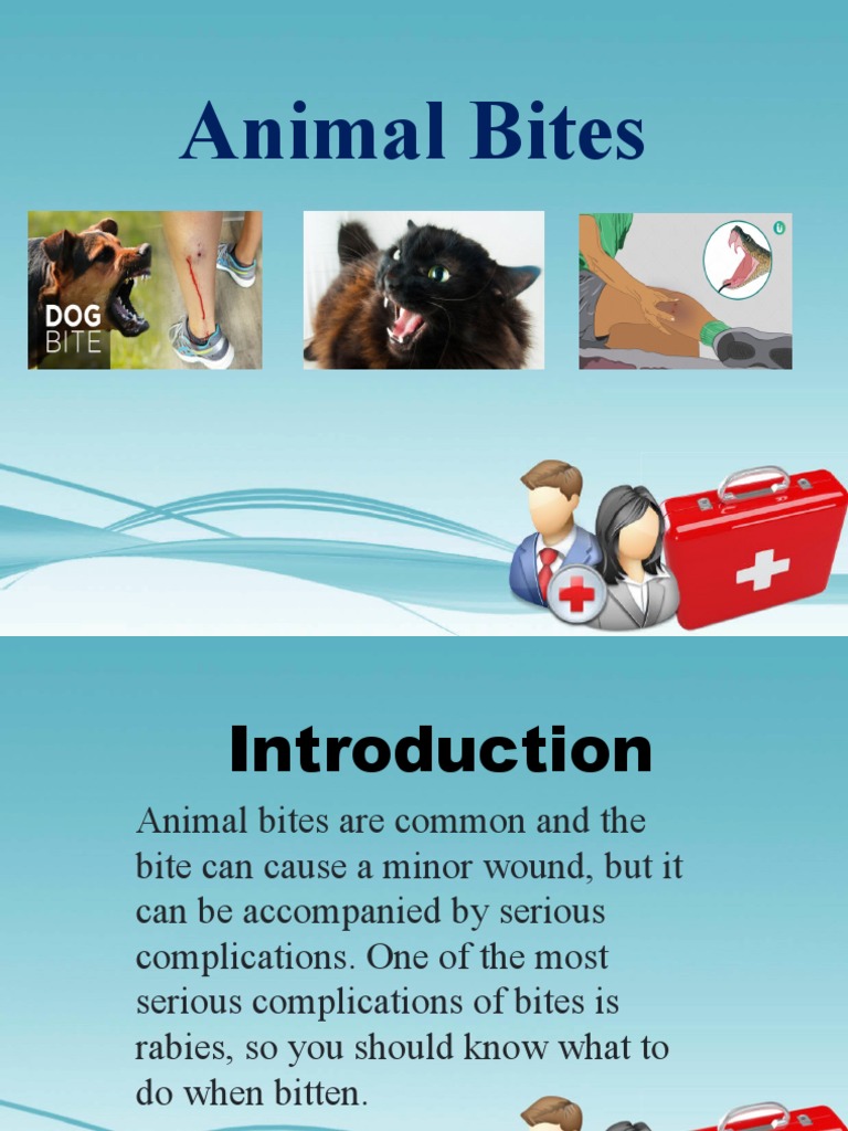Animal Bites | PDF | Stroke | Wound