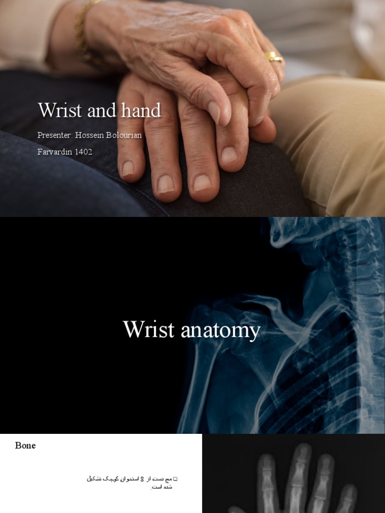 Ortho Presentation | PDF