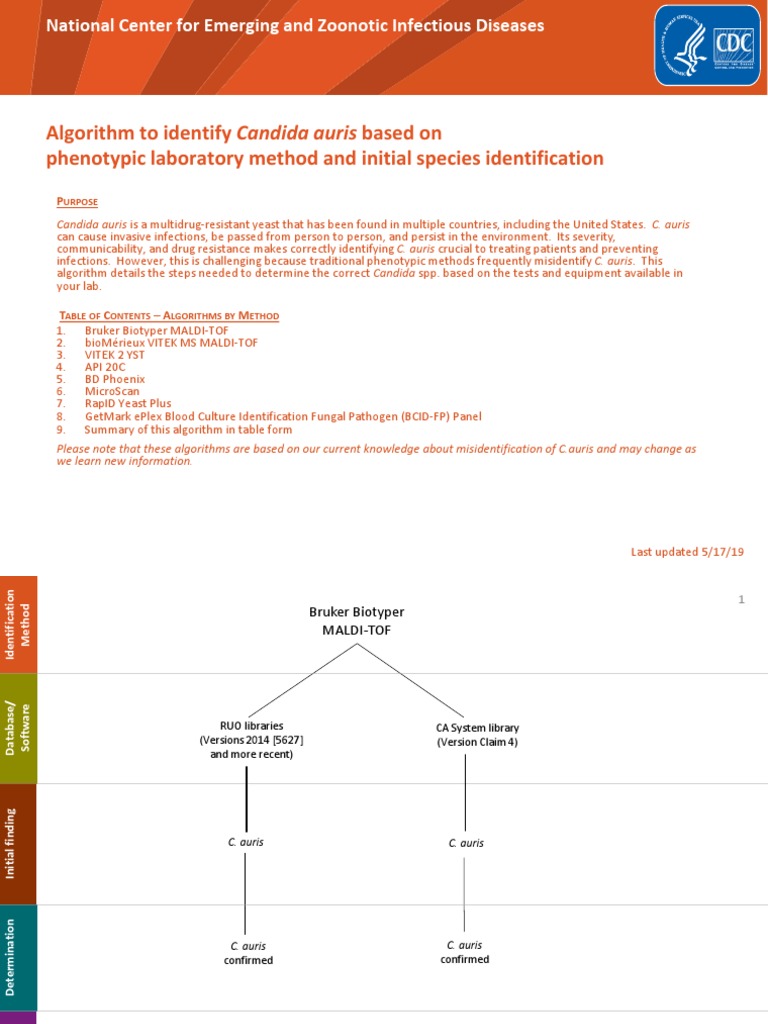 Algorithm To Identify Candida Auris Based On Phenotypic Laboratory ...