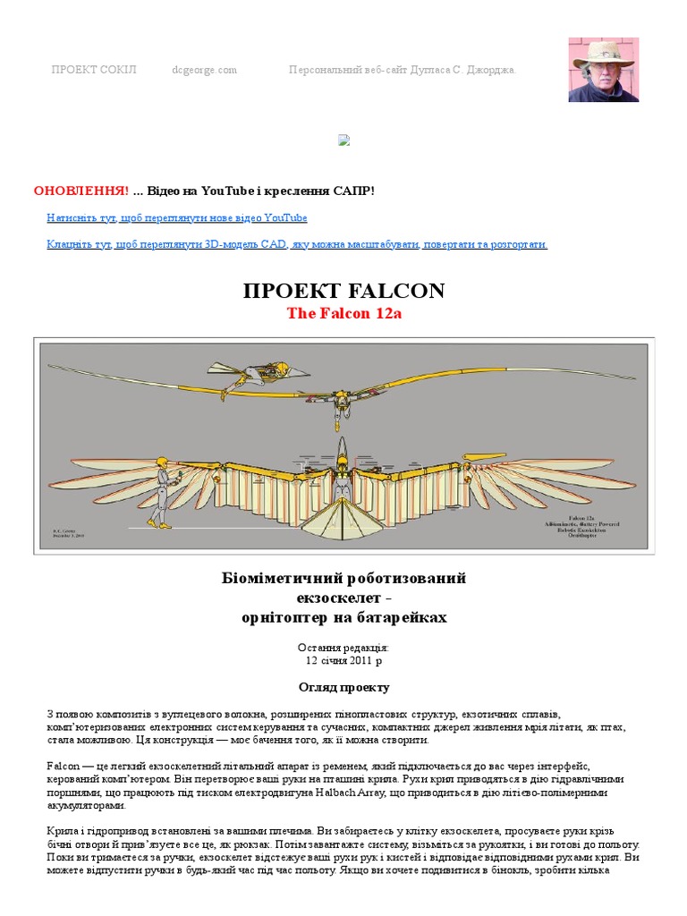 Project Falcon | PDF