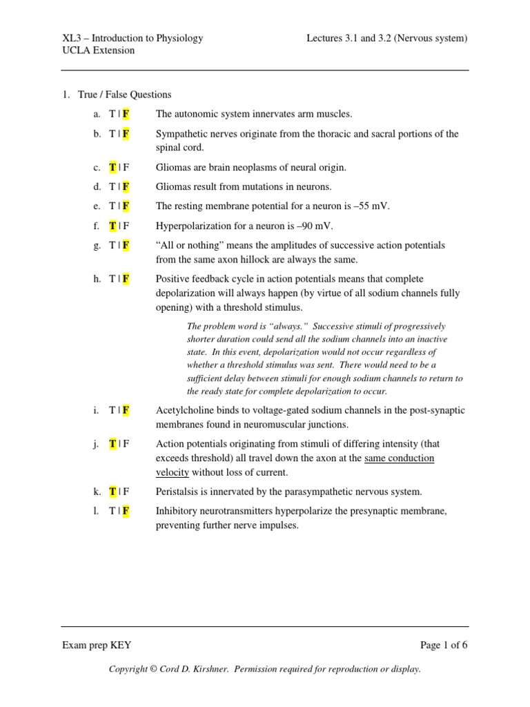 Exam Prep - Lec 3 - KEY | PDF | Action Potential | Neuron Exam Prep - Lec 3 - KEY | PDF | Action Potential | Neuron